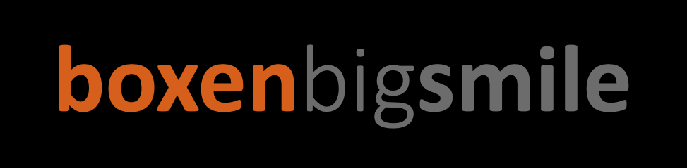 logga-text-pa-en-rad – boxenbigsmile